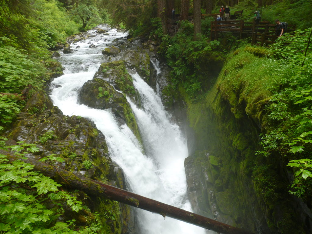Hiking Olympic National Park: Sol Duc Falls Trail - Park Chasers